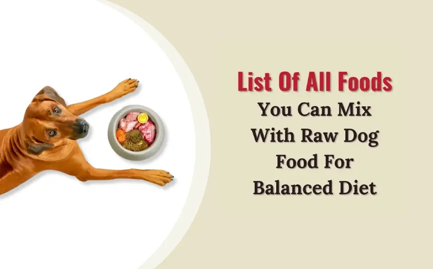 What Can I Mix with Raw Dog Food? 10 Ingredients & Checklist